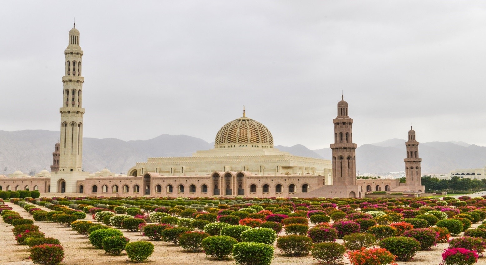 Muscat Culture Tour – 4 Nights, 5 Days – NTT Oman
